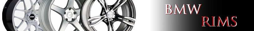 bmw rim